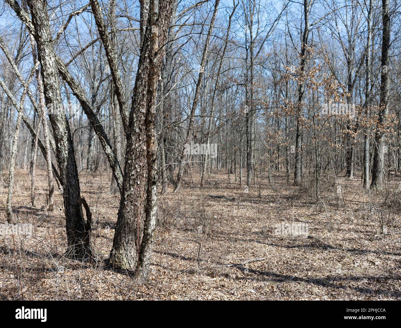 Landscape of former strip coal mine on the outskirts of Columbia ...