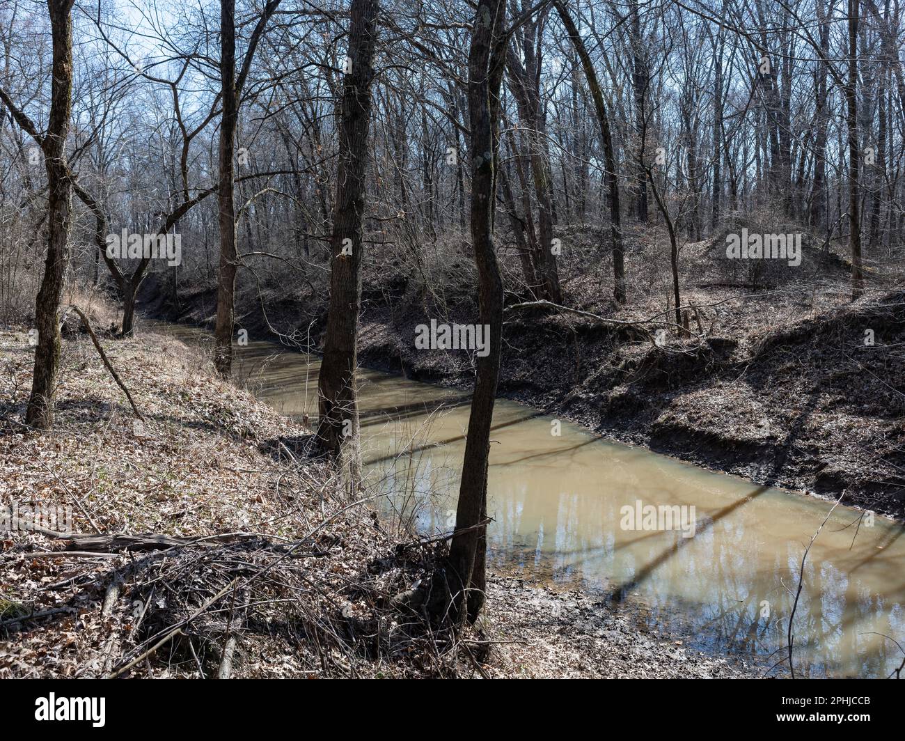 Landscape of former strip coal mine on the outskirts of Columbia ...
