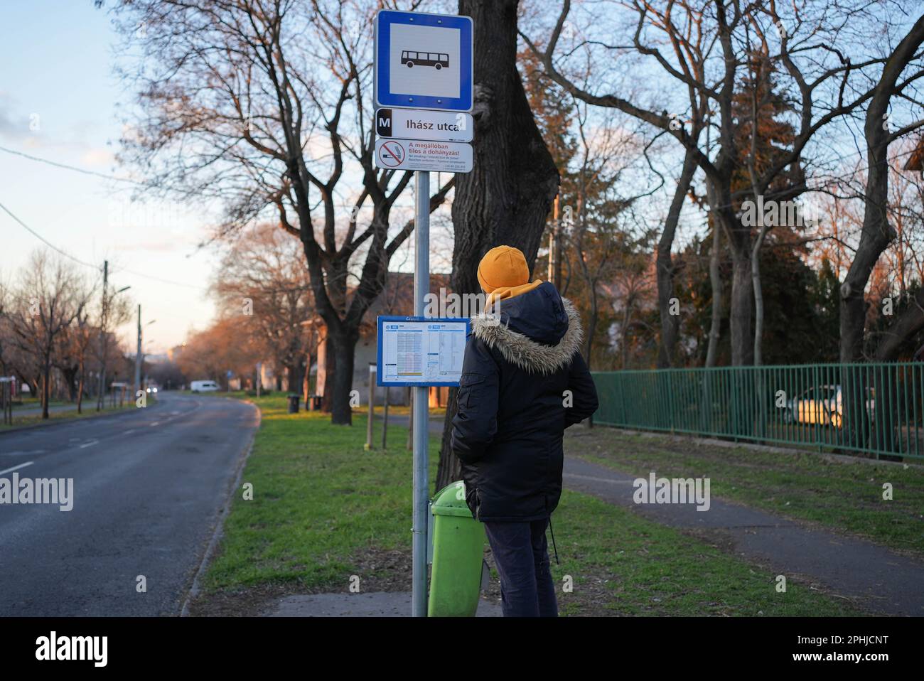 Guy looking at the bus schedule at a suburban area Stock Photo - Alamy