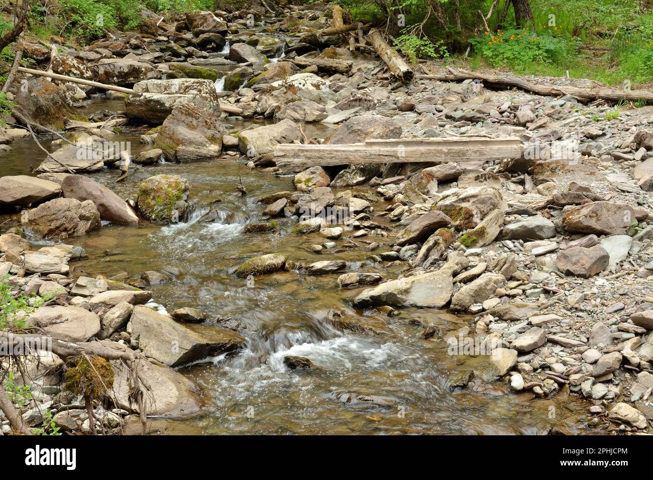 A small, stormy speech flows down in a swift stream from the mountains ...