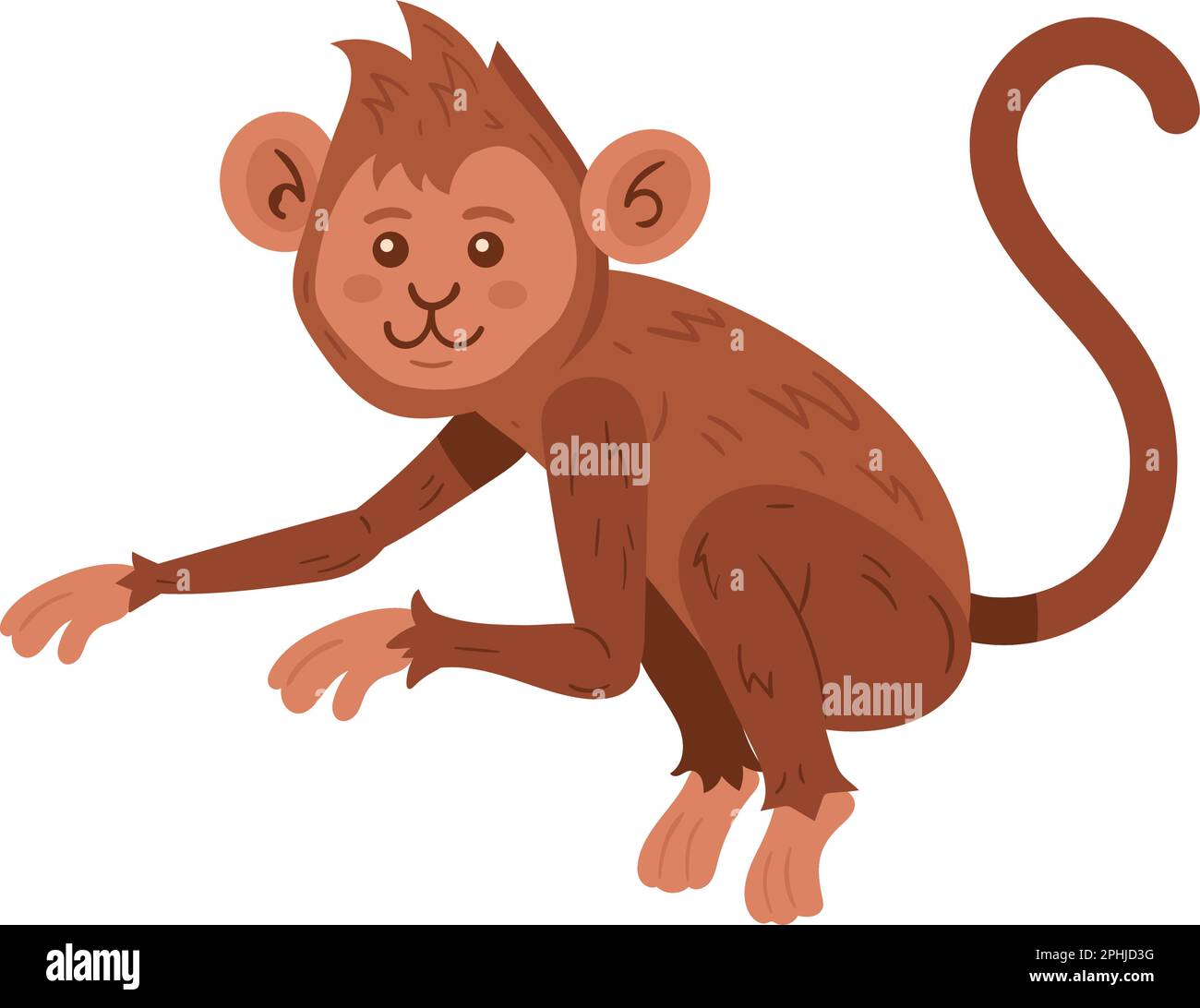 monkey wild animal Stock Vector Image & Art - Alamy