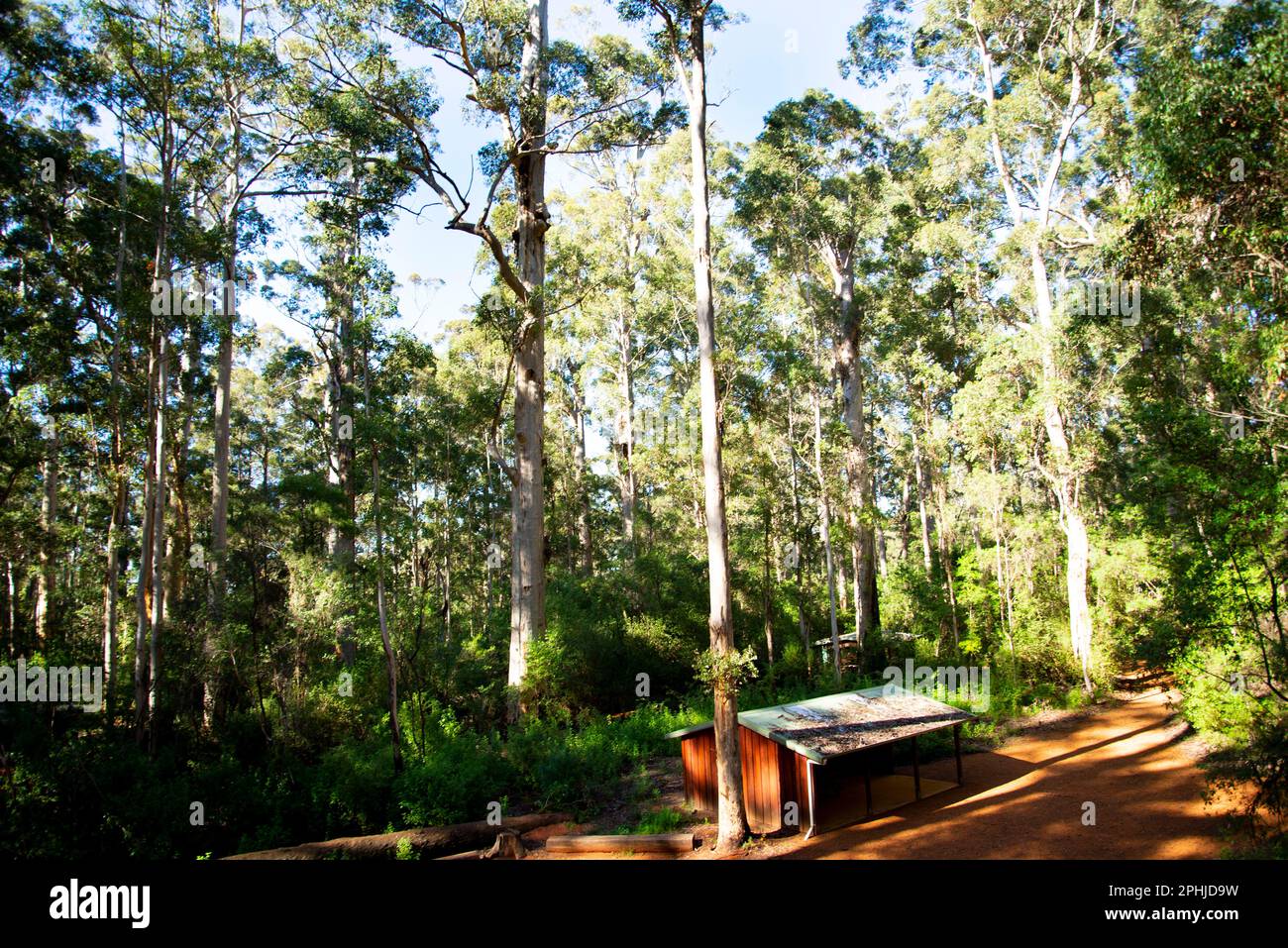 Warren National Park - Western Australia Stock Photo - Alamy