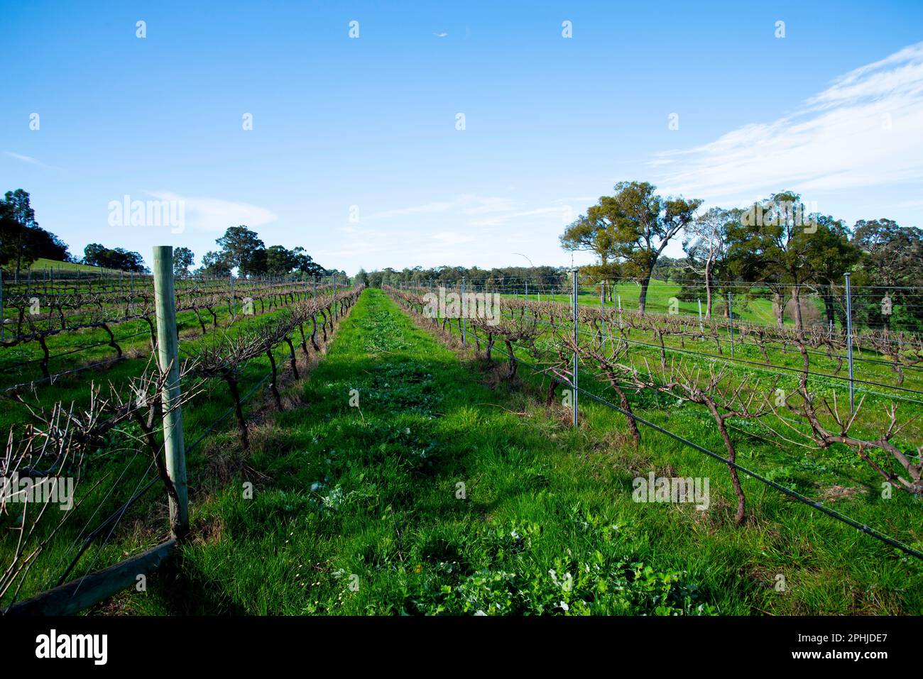 Ferguson valley hi-res stock photography and images - Alamy