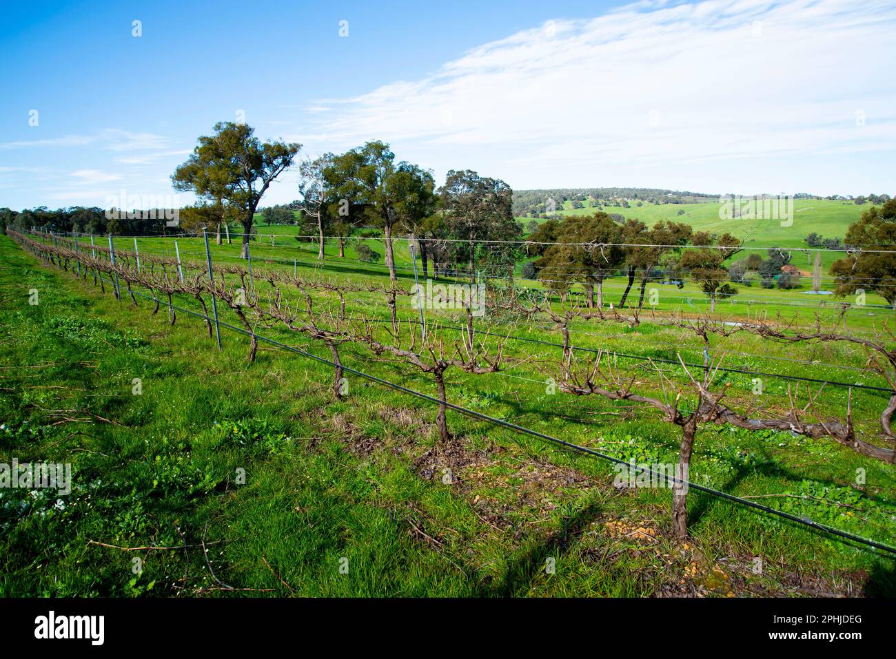 Ferguson Valley - Western Australia Stock Photo - Alamy