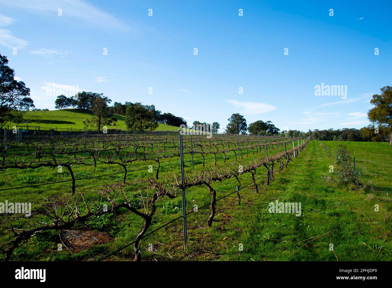 Ferguson Valley - Western Australia Stock Photo - Alamy