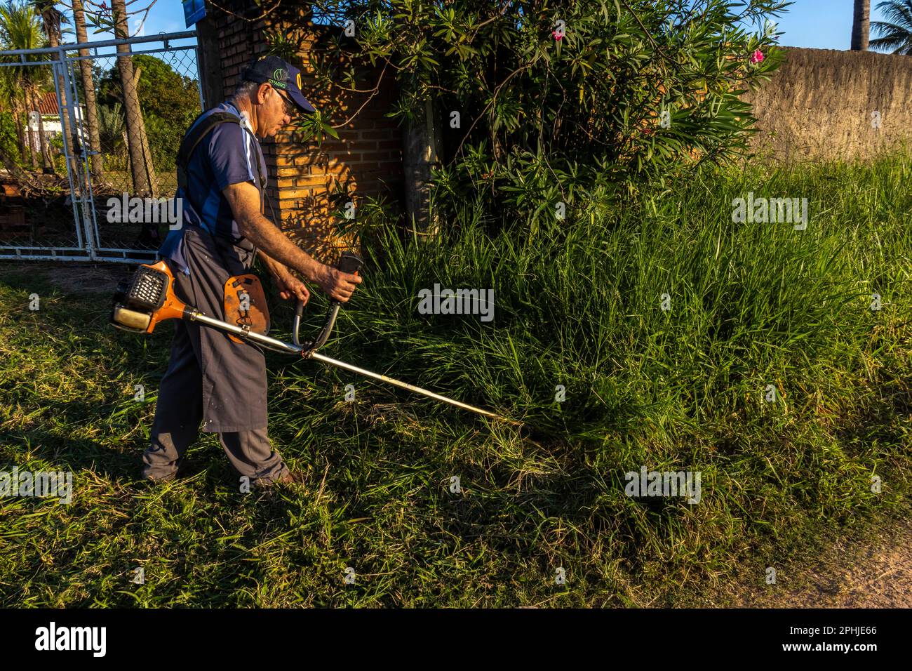 Manual Weed Cutter