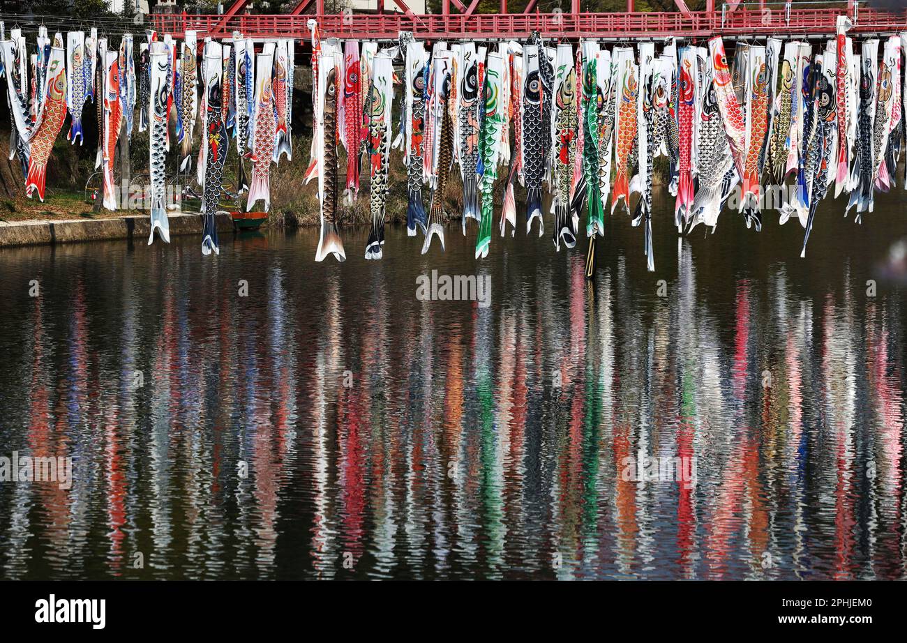 Colorful carp streamers are hung over the surface of the river in Saga ...