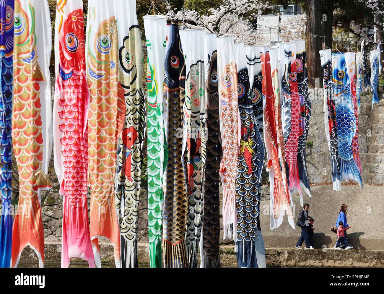 Colorful carp streamers are hung over the surface of the river in Saga ...