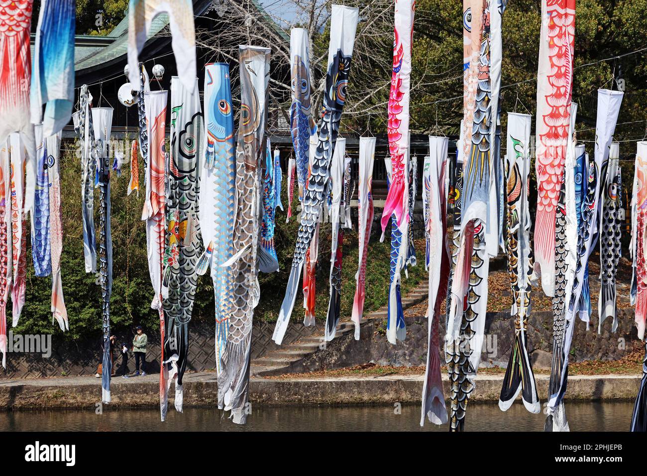 Colorful carp streamers are hung over the surface of the river in Saga ...