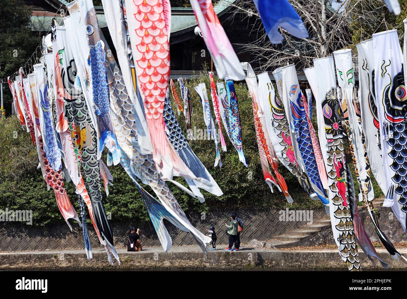 Colorful carp streamers are hung over the surface of the river in Saga ...