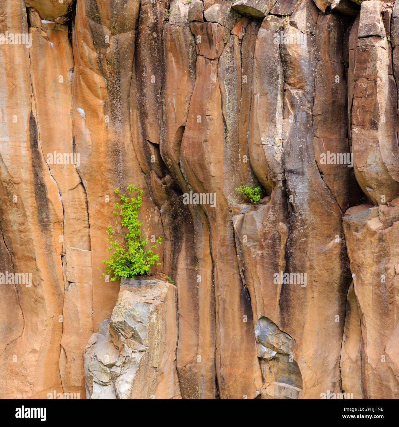 Sycamore canyon colorado hi-res stock photography and images - Alamy
