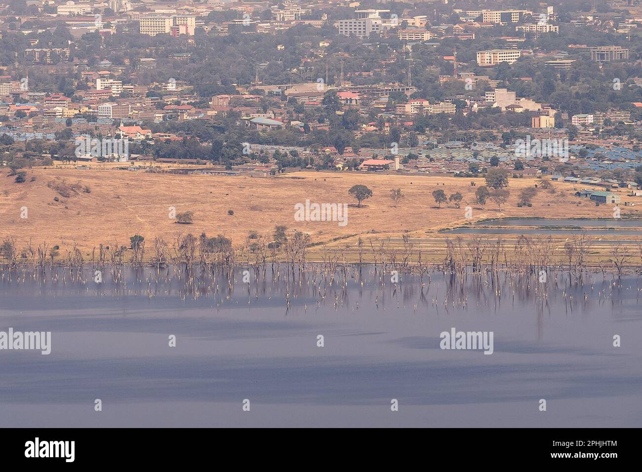 Trees emerging from the water of Nakuru lake. The village of Kalokol ...
