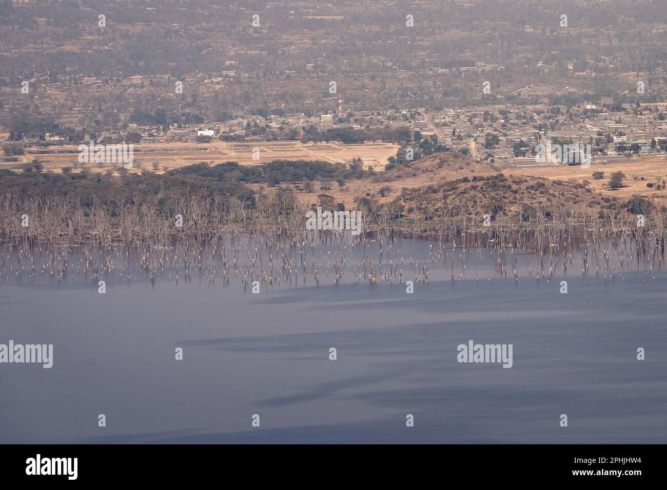 Trees emerging from the water of Nakuru lake. The village of Kalokol ...