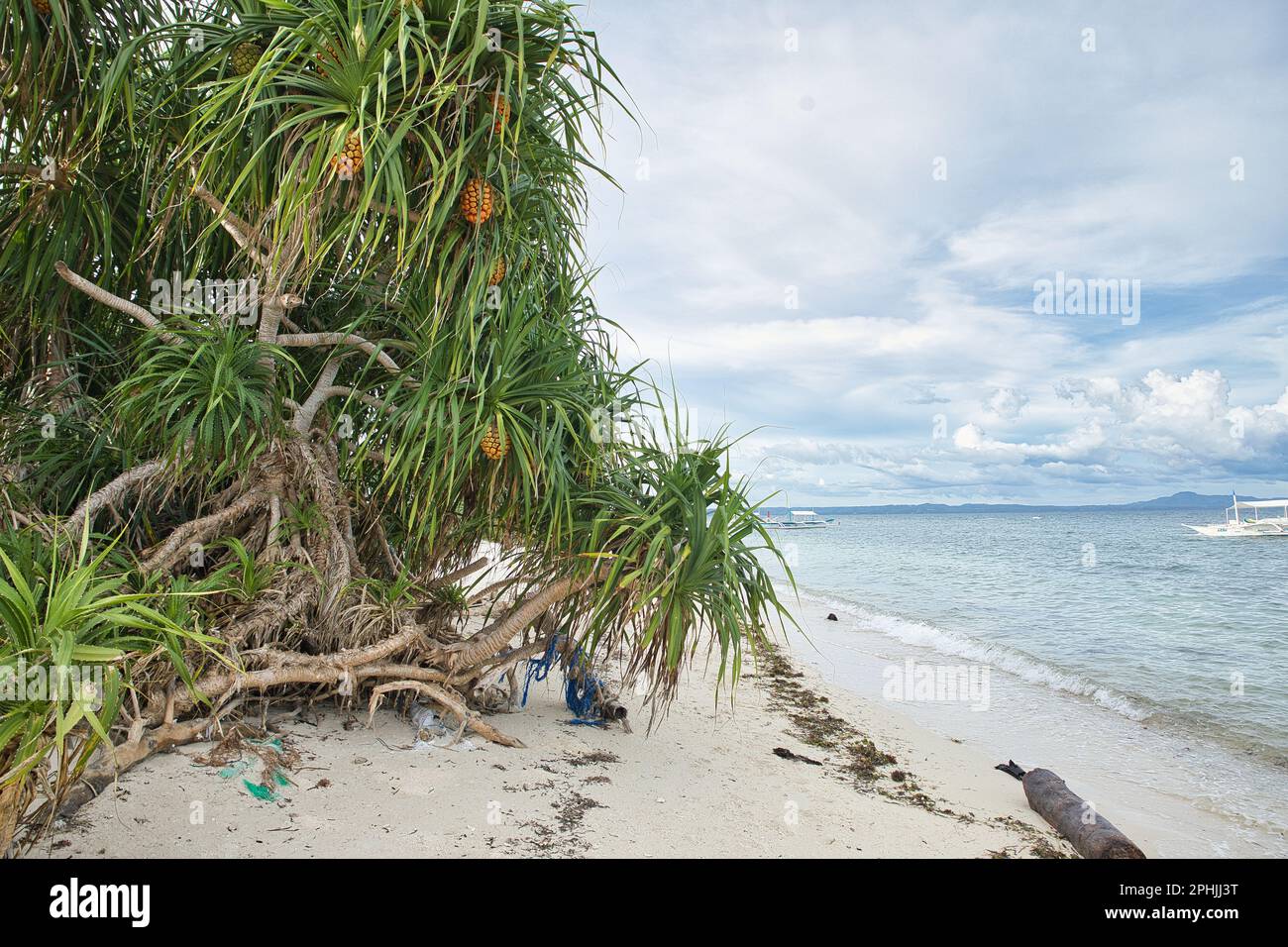 Dreamlike idyllic beach of Pamilacan Island in the Philippines with ...