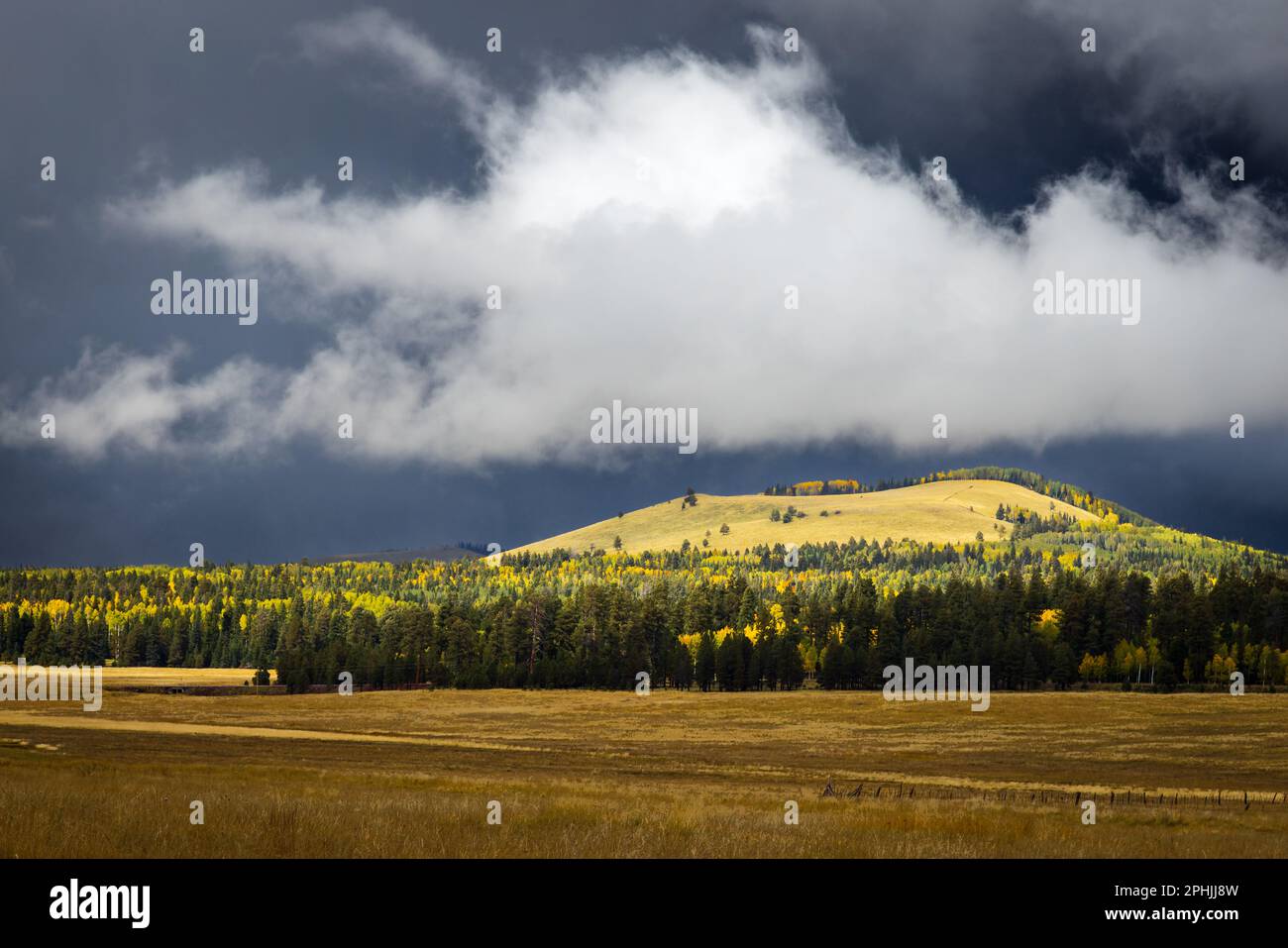 Sunlight breaks through the storm clouds to shine a heavenly light on a ...