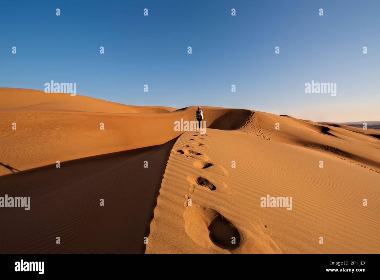Walking in desert sand dunes, Wahiba Sands, Ash Sharqiyah, Oman Stock ...