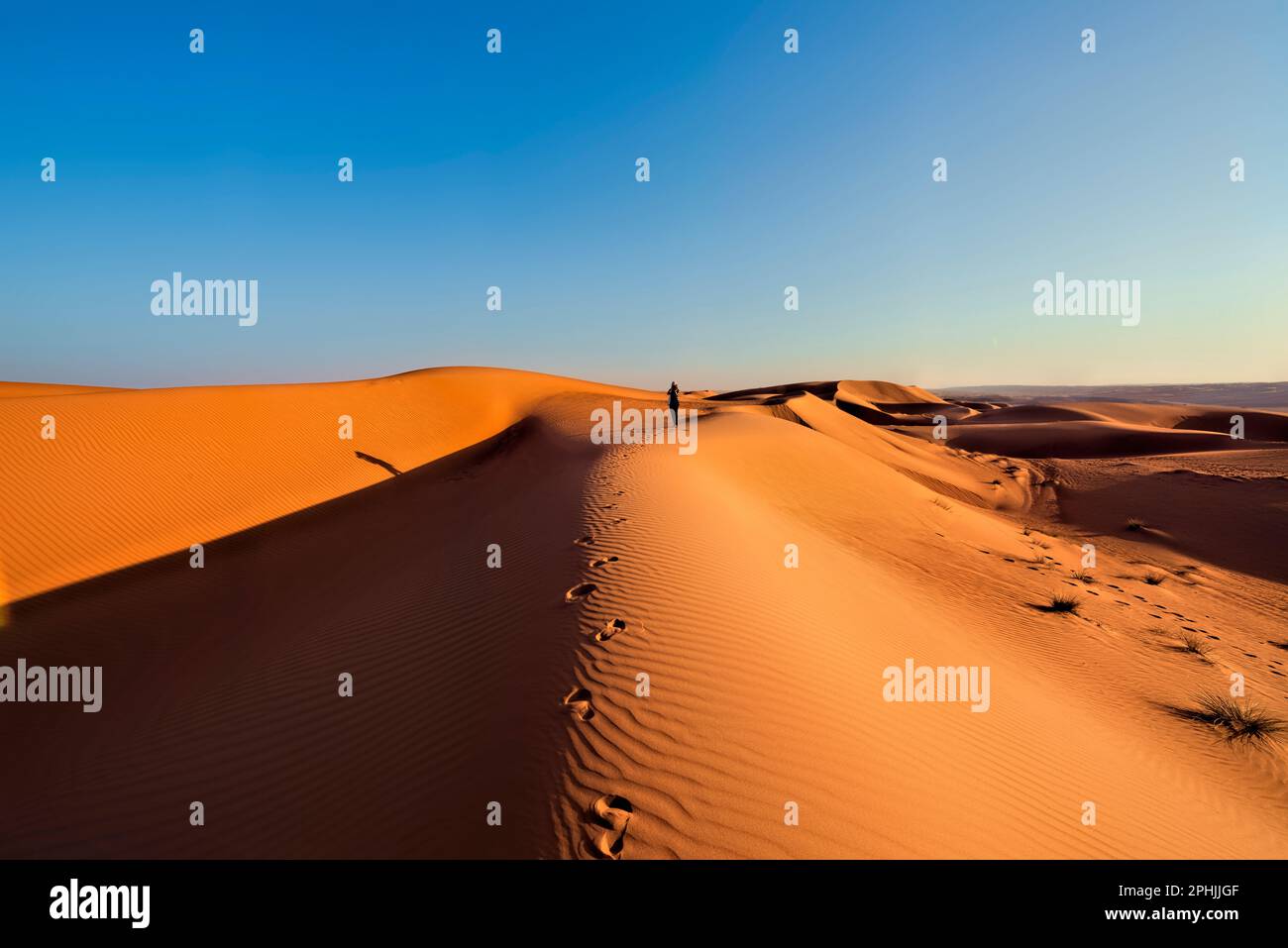 Walking in wahiba sands hi-res stock photography and images - Alamy