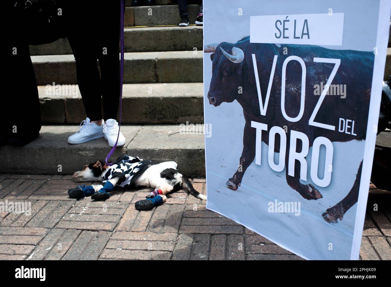 Bogota, Colombia on March 28, 2023. Animal rights activists take part ...