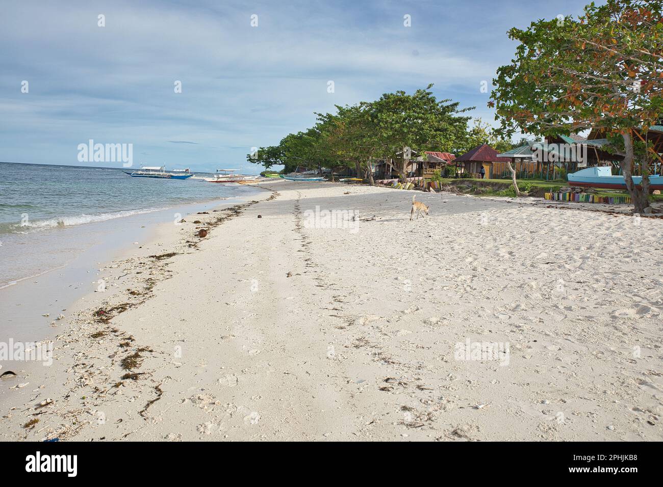 An idyllic, secluded sandy beach of Pamilacan Island in the Philippines ...