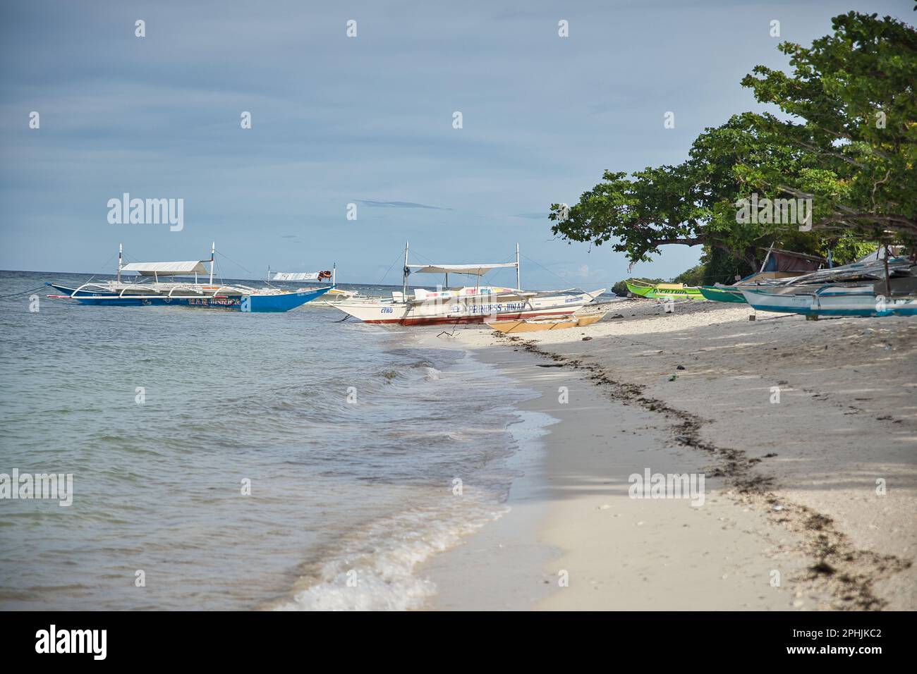 An idyllic white sand beach of Pamilacan Island in the Philippines with ...