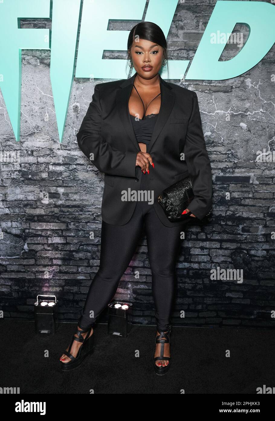 New York, NY, USA. 28th Mar, 2023. Precious Lee at arrivals for ...