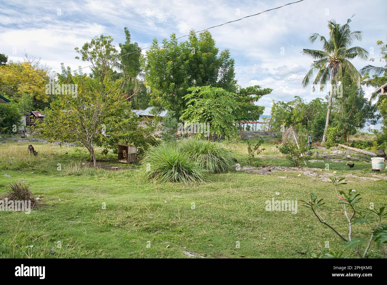 A meadow in an idyllic tropical landscape on Pamilacan Island in the ...