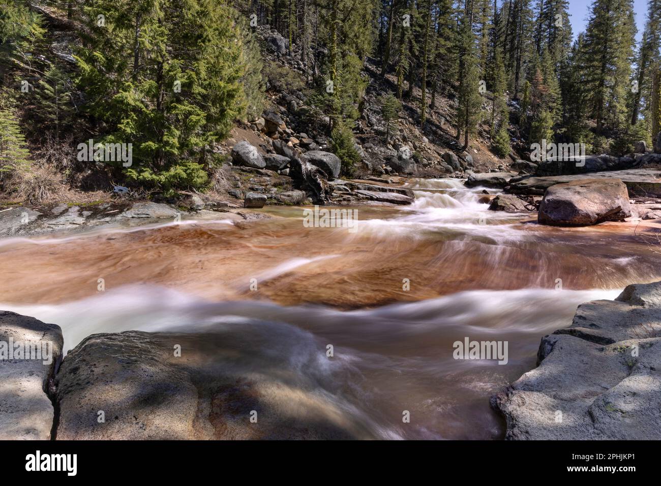 Landscape of evergreen trees beside the Merced River Rapids in Yosemite ...