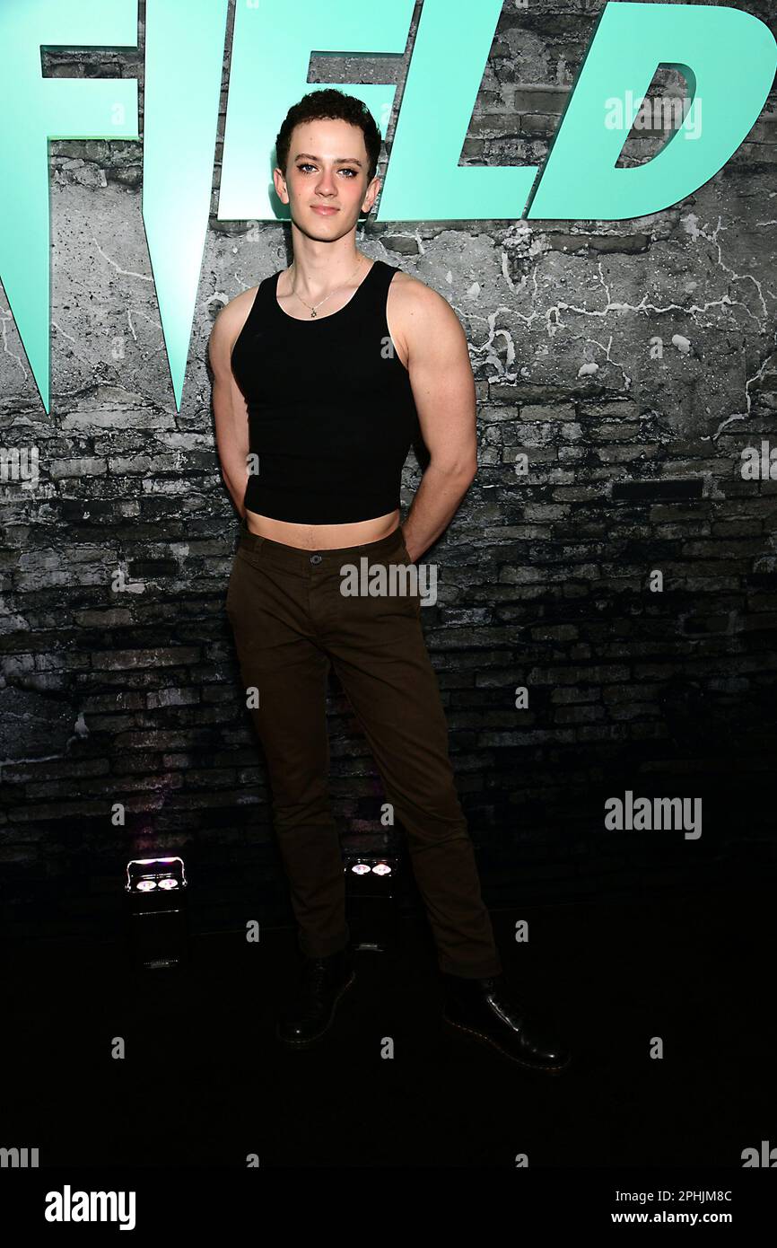 Matt Bernstein attends the Universal movie Premiere of "Renfield" at Museum of Modern Art in New ...