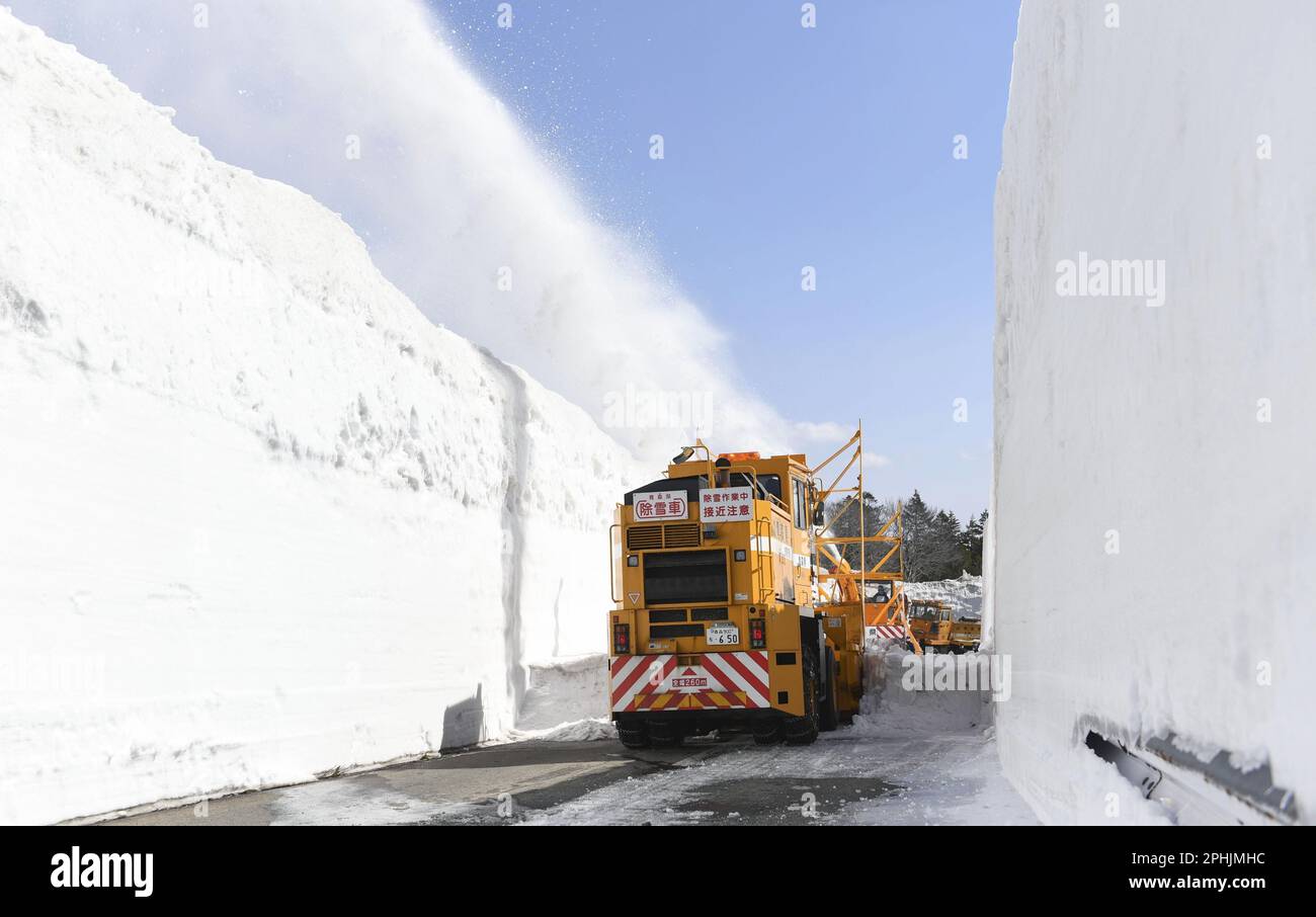 Photo taken March 29, 2023, shows a "snow corridor," or walls of snow ...