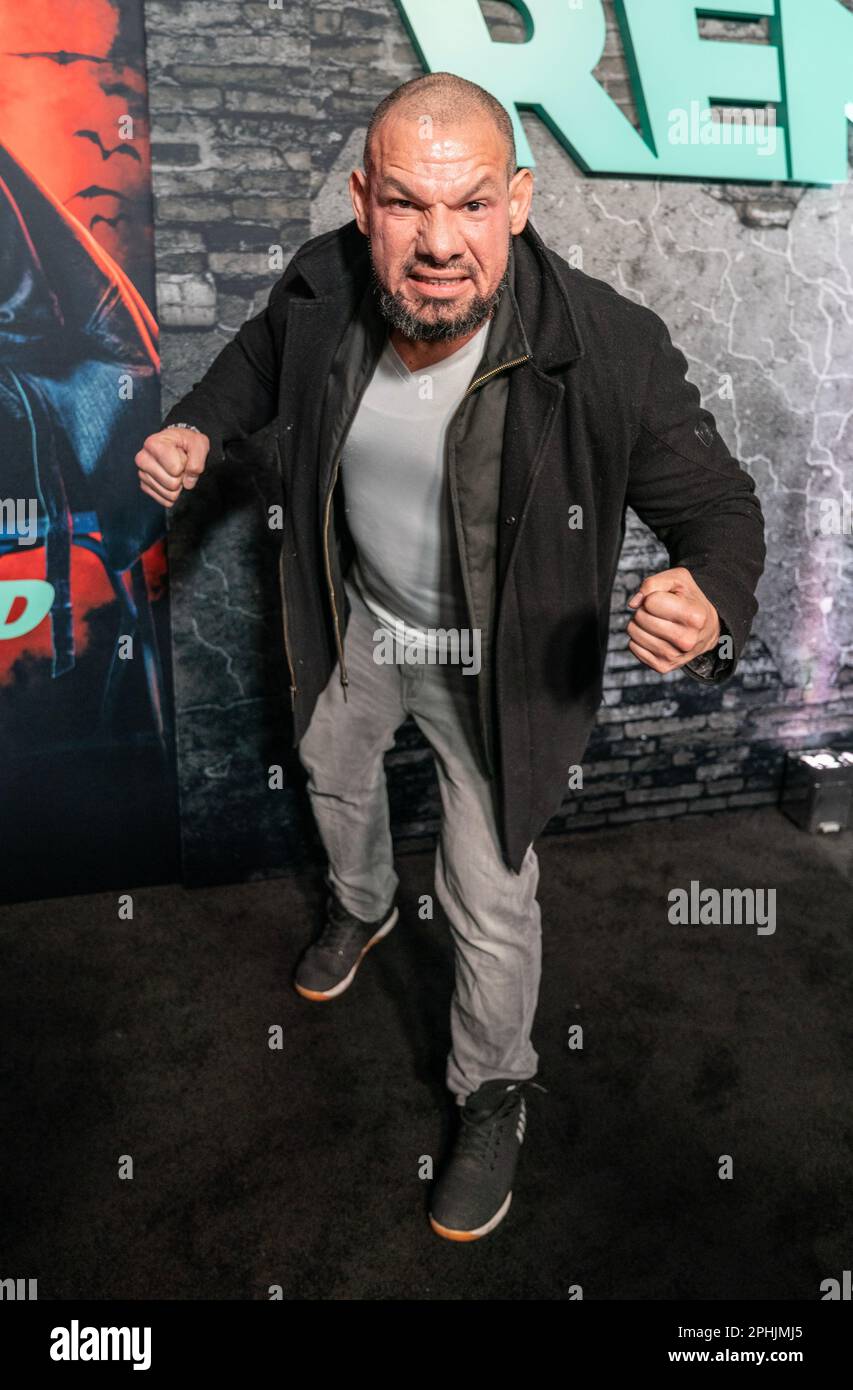 G-Rod attends premiere of Universal Pictures Renfield at MoMA in New ...