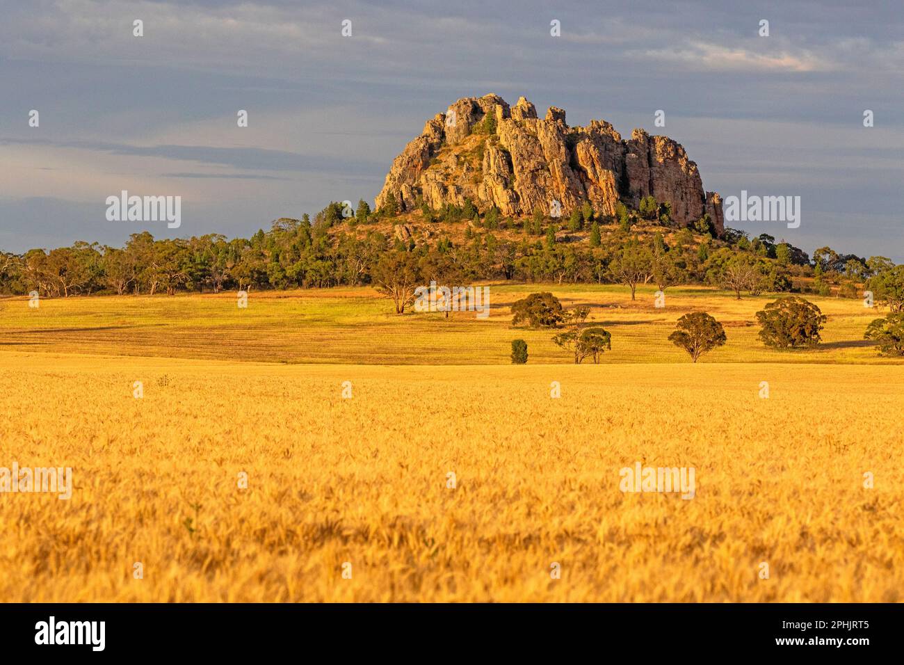 Mitre Rock, rising above a wheat field beside Mt Arapiles Stock Photo ...