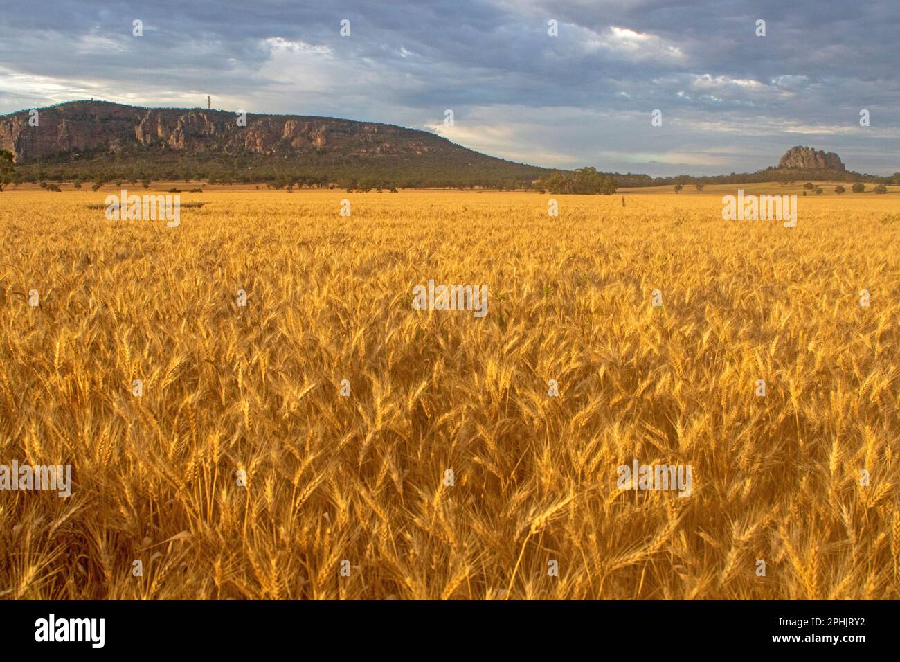 Mt Arapiles and Mitre Rock Stock Photo - Alamy