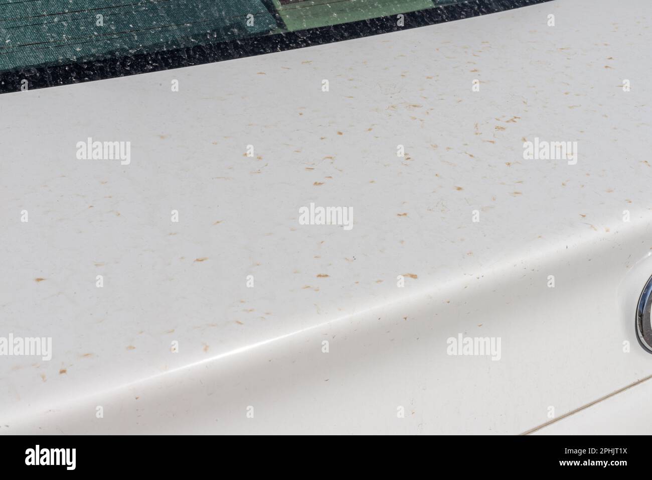 Car covered with dust hi-res stock photography and images - Alamy