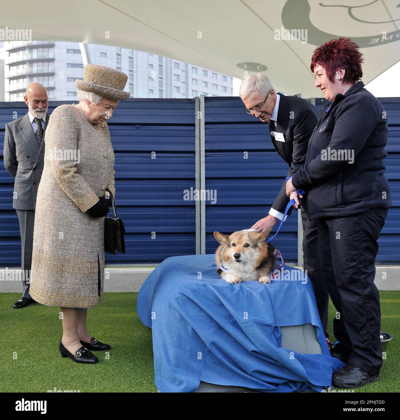 Picture by Simon Wilkinson/SWpix.com - 17/03/2015 - Battersea Dog ...