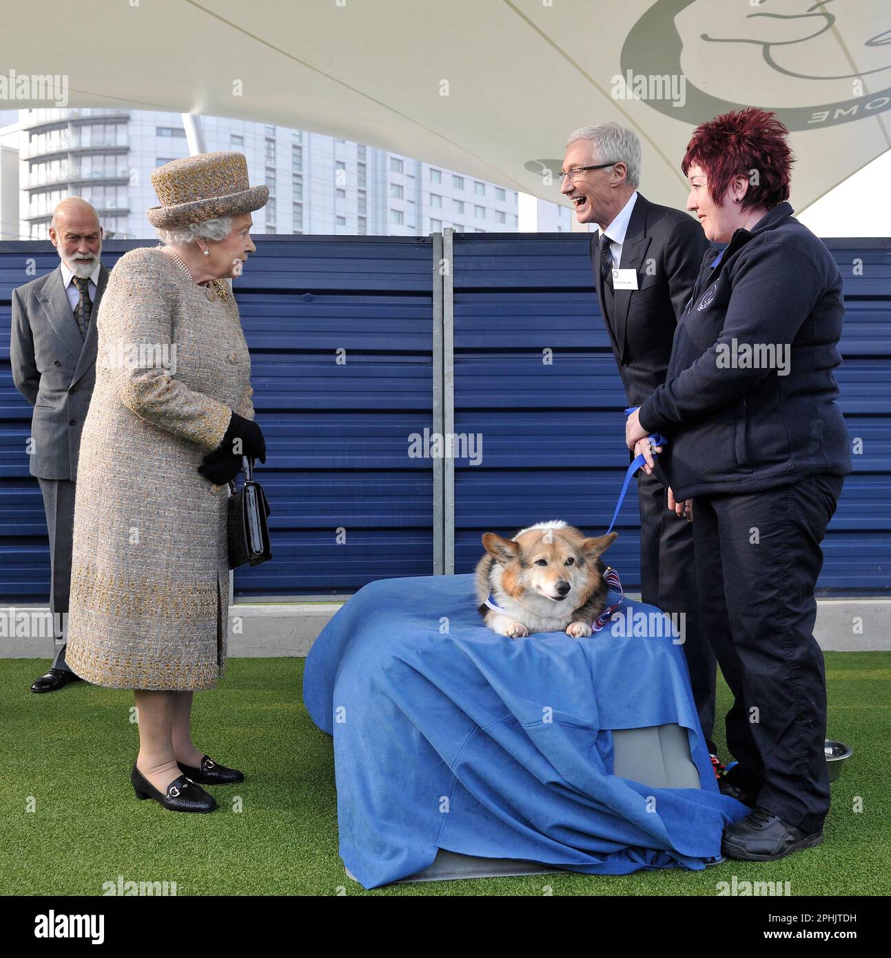 Picture by Simon Wilkinson/SWpix.com - 17/03/2015 - Battersea Dog ...
