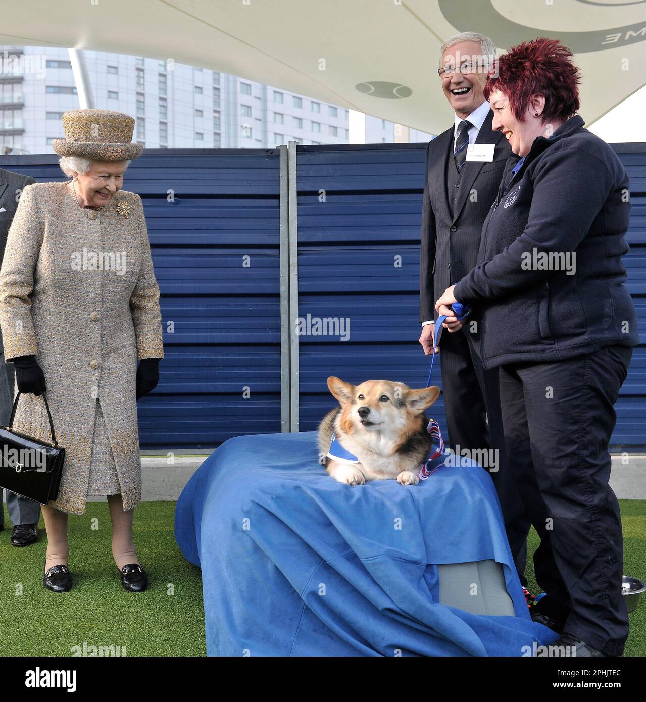 Picture by Simon Wilkinson/SWpix.com - 17/03/2015 - Battersea Dog ...