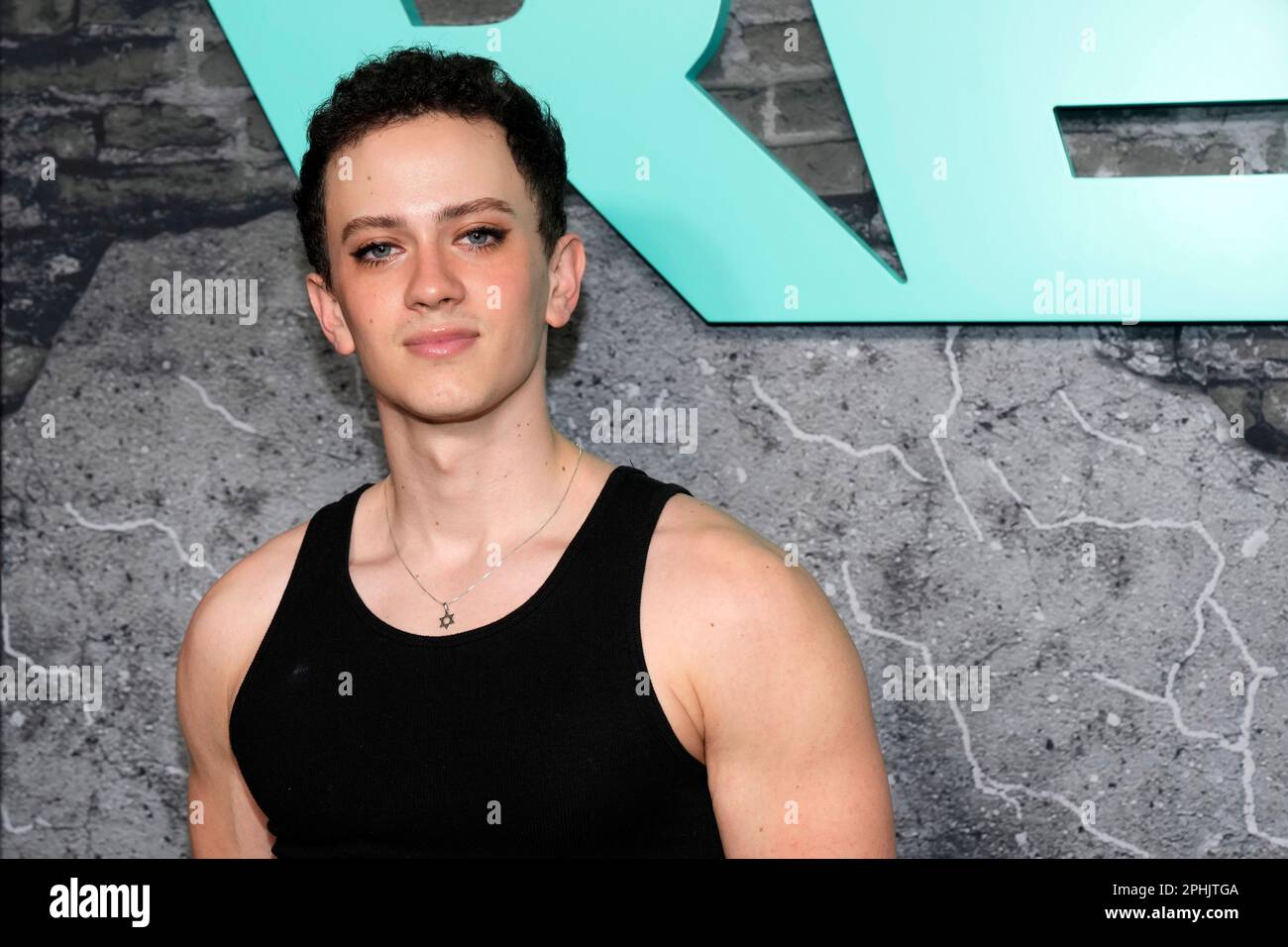 Matt Bernstein attends the "Renfield" premiere at the Museum of Modern ...