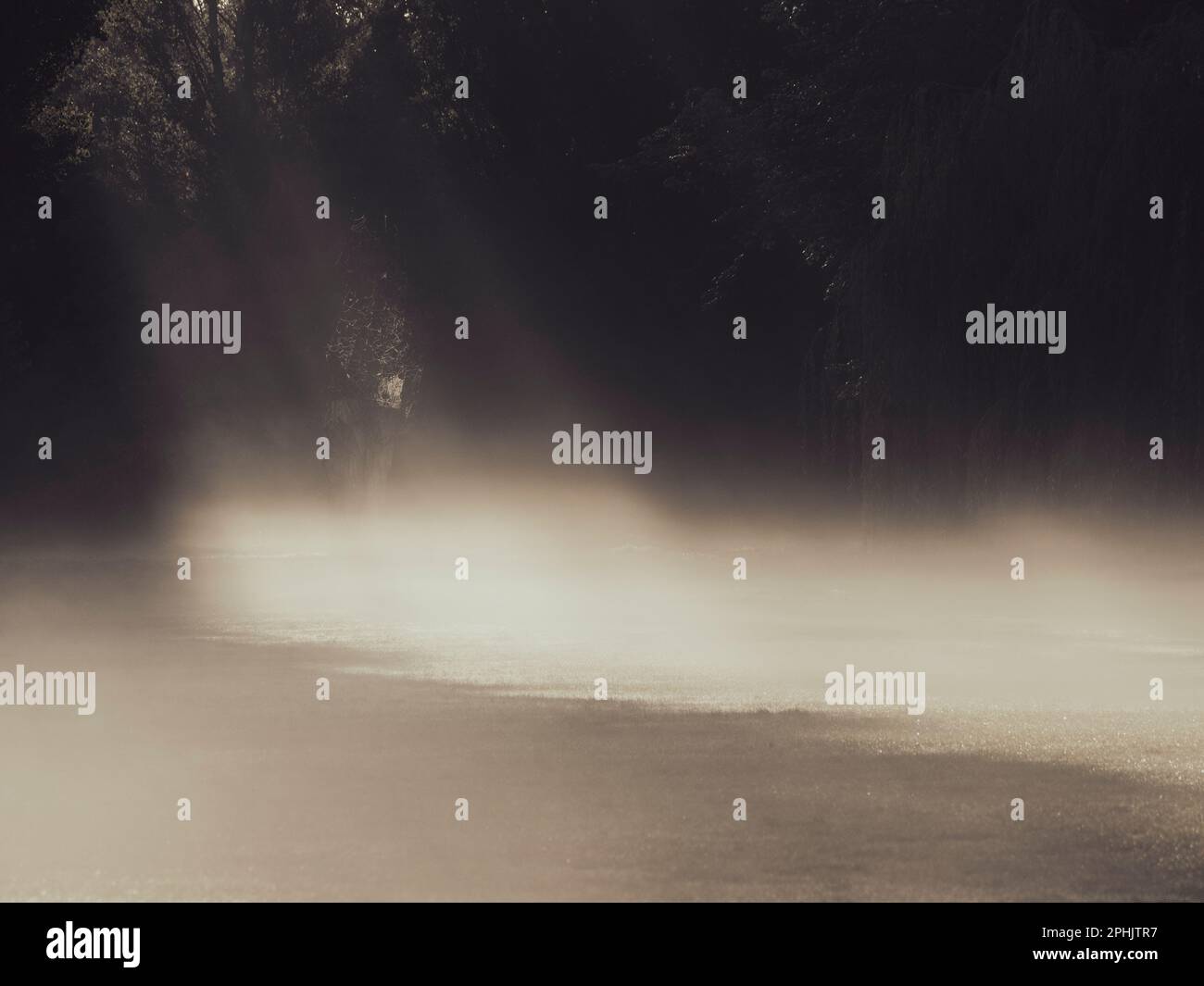 Beam Of Light, Kings Meadows, Woodlands, Reading, Berkshire, England ...