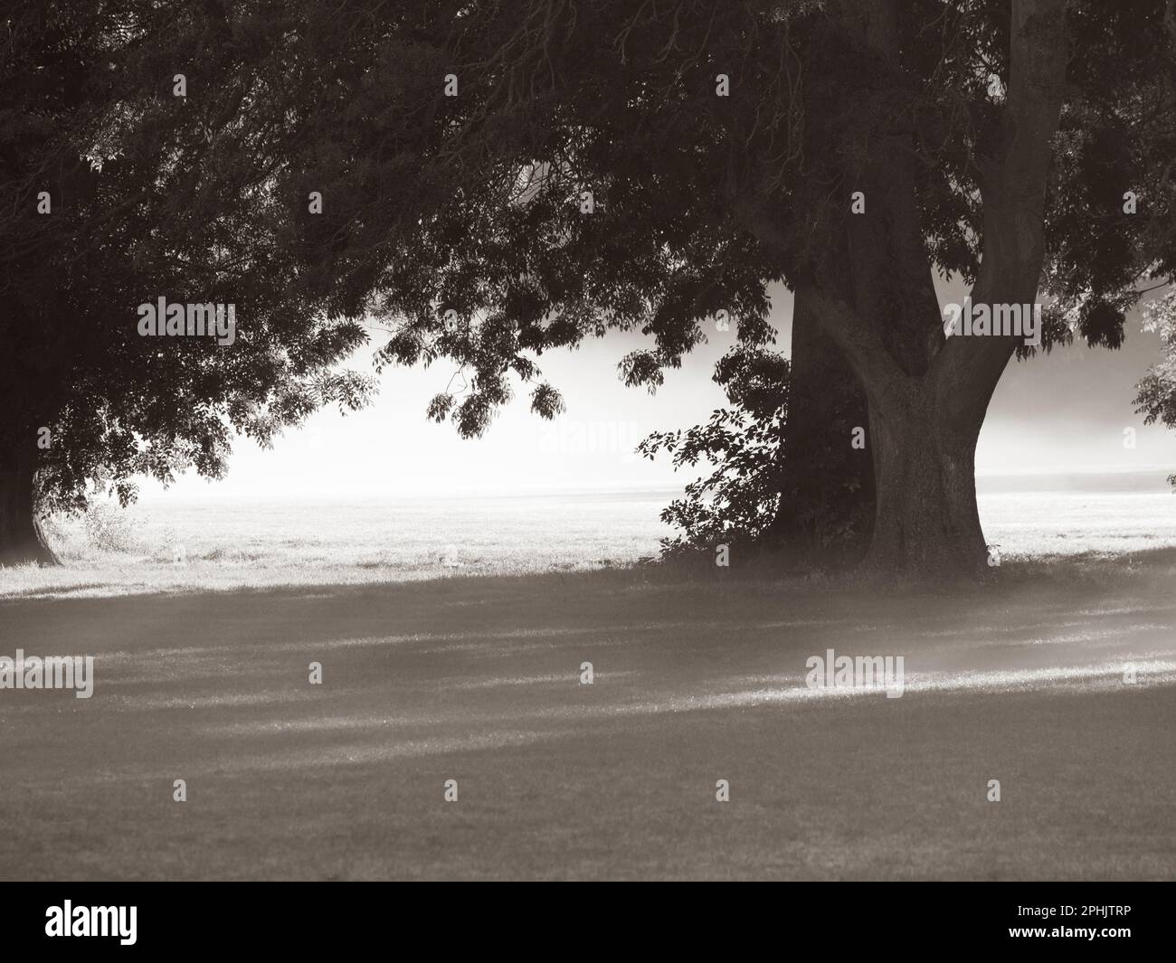 Dawn Light, Kings Meadow, Reading, Berkshire, England, UK, GB Stock ...