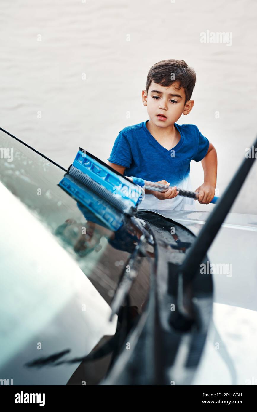 I will make sure this window is sparkling clean. a focused and ...