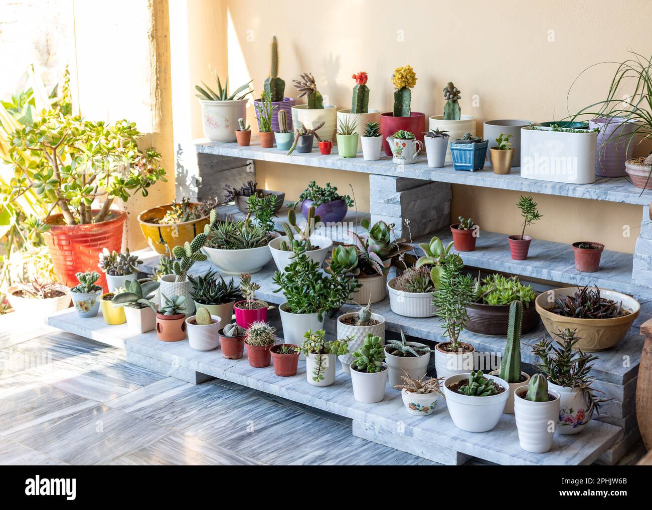 Succulents in terracotta pots hi-res stock photography and images - Alamy