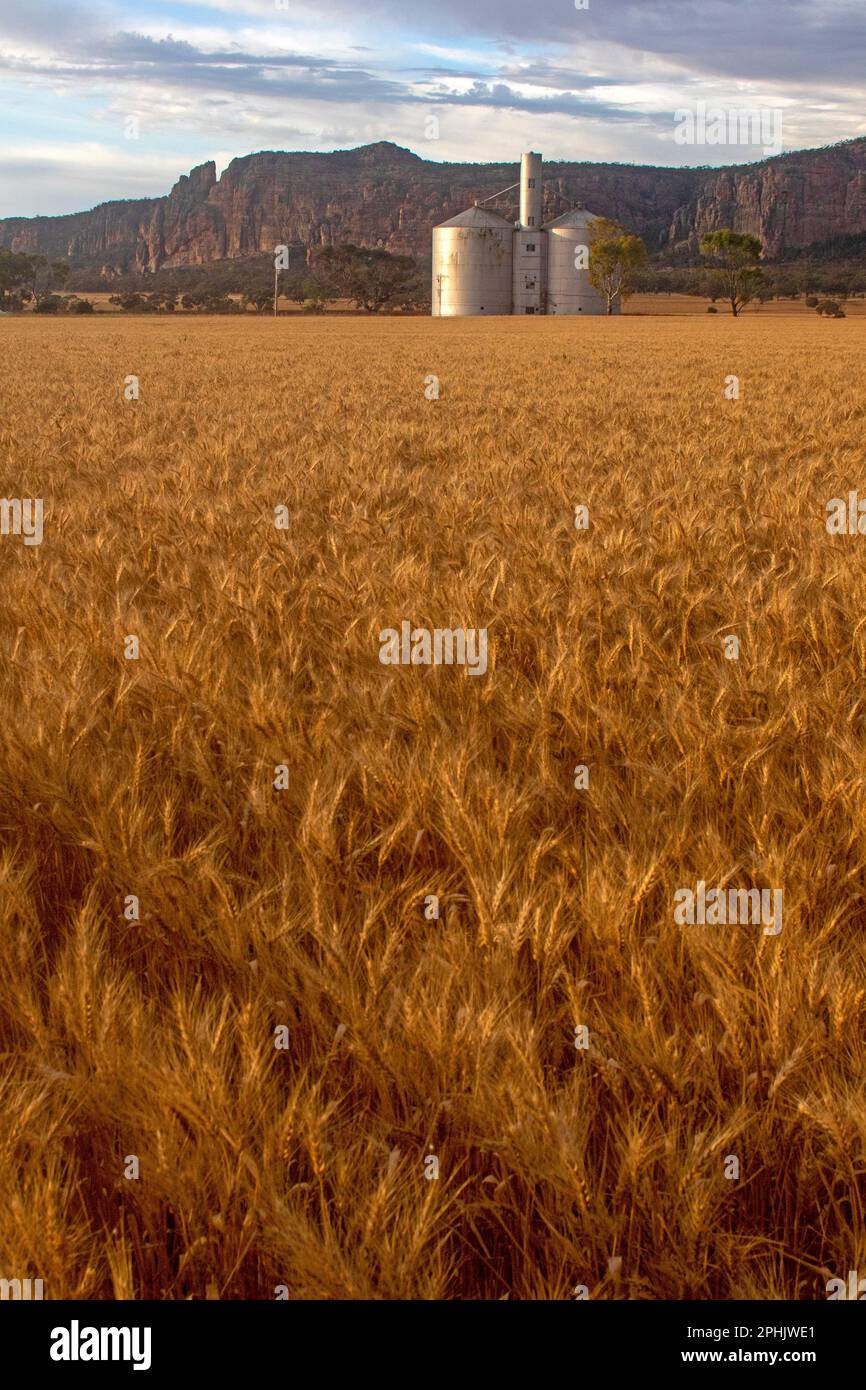 Silos and Mt Arapiles Stock Photo - Alamy