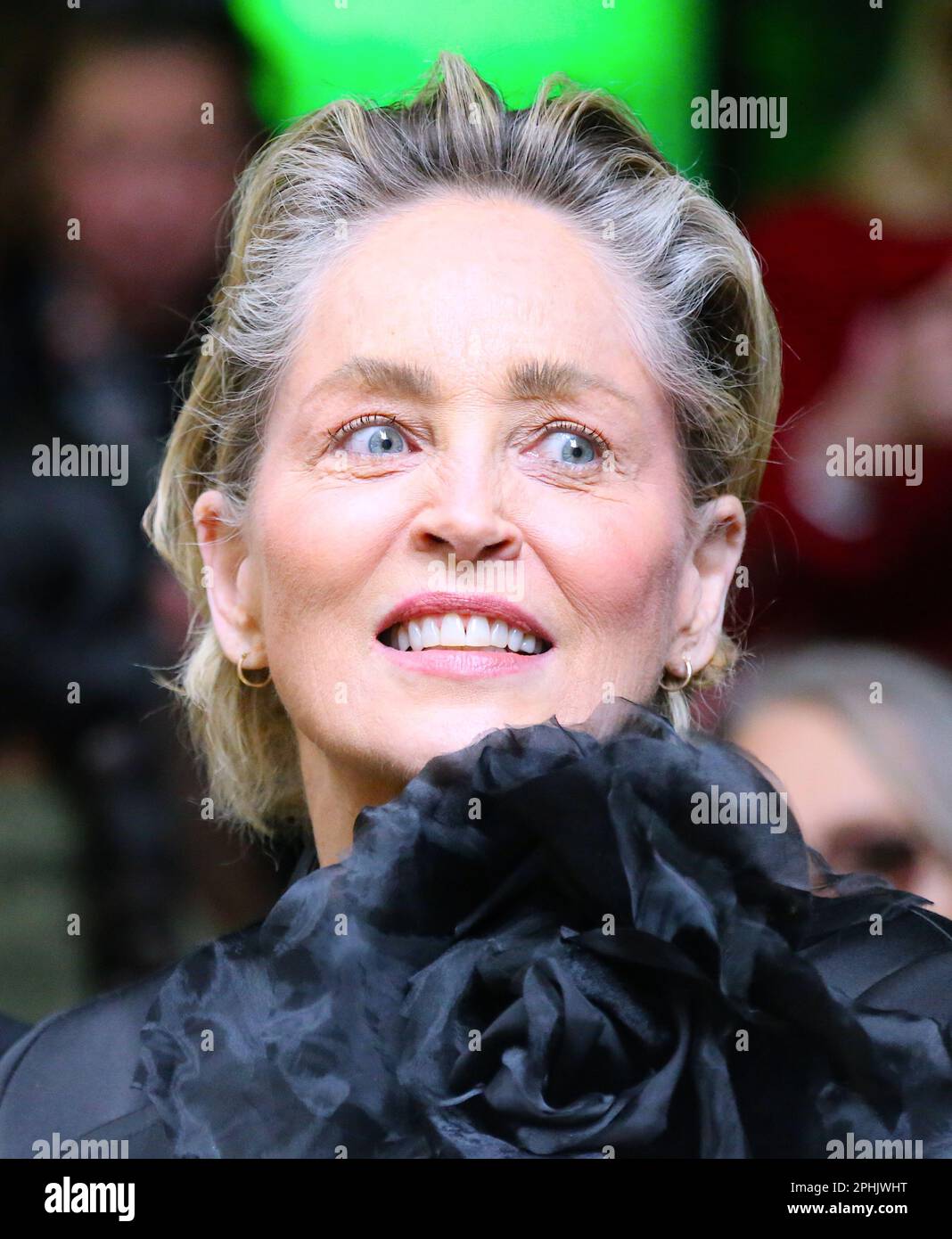 New York, USA. 28th Mar, 2023. Actress Sharon Stone leaves the Muse ...
