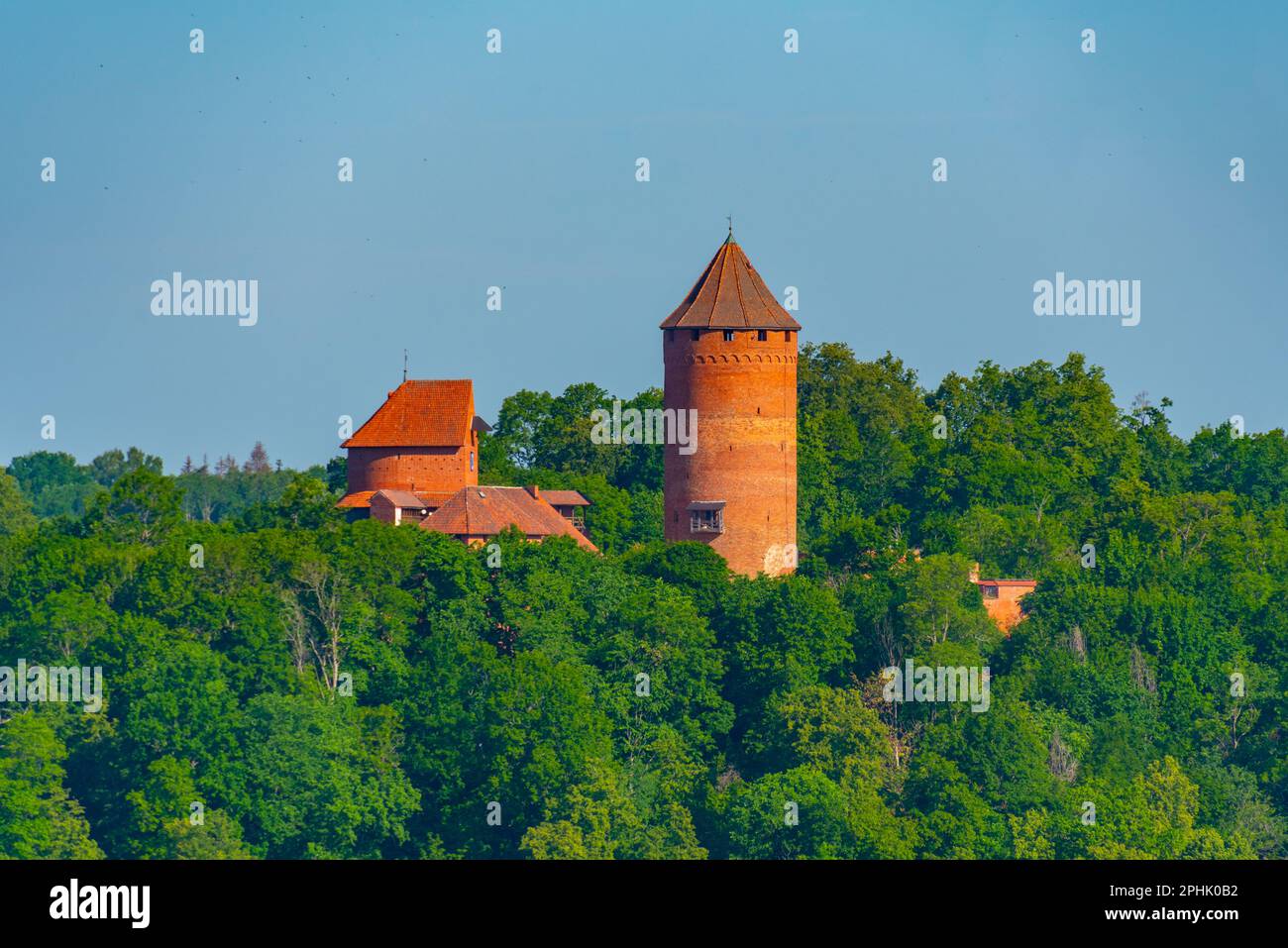 Forest in turaida hi-res stock photography and images - Alamy