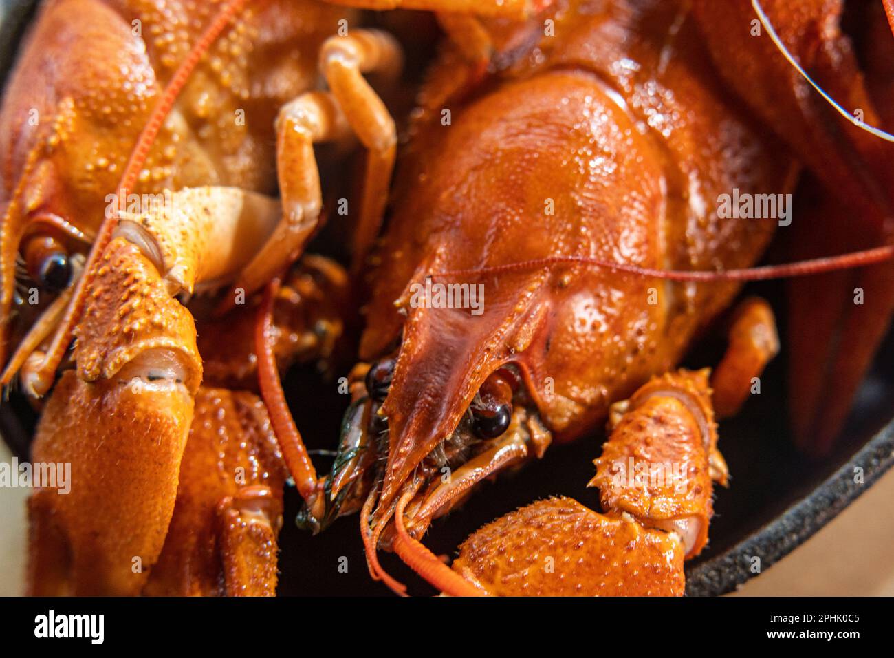 River boiled crayfish. Red cooked crayfish. Plate with crayfish Stock ...