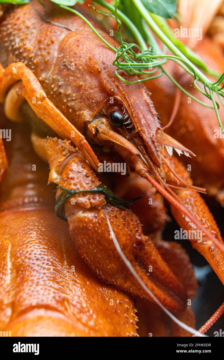 River boiled crayfish. Red cooked crayfish. Plate with crayfish Stock ...