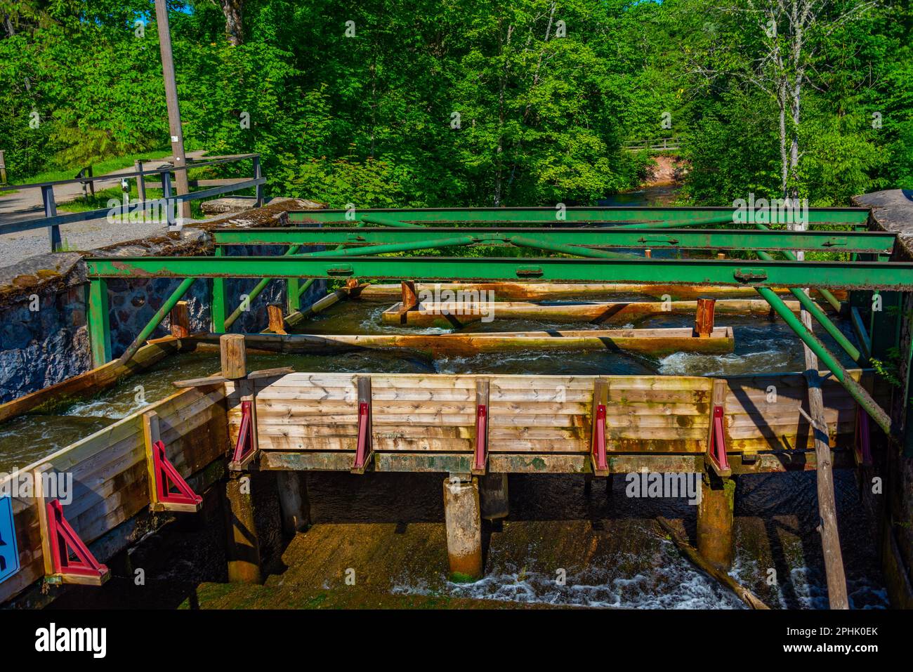 Artificial construction helping trout overcome man-made obstacles ...
