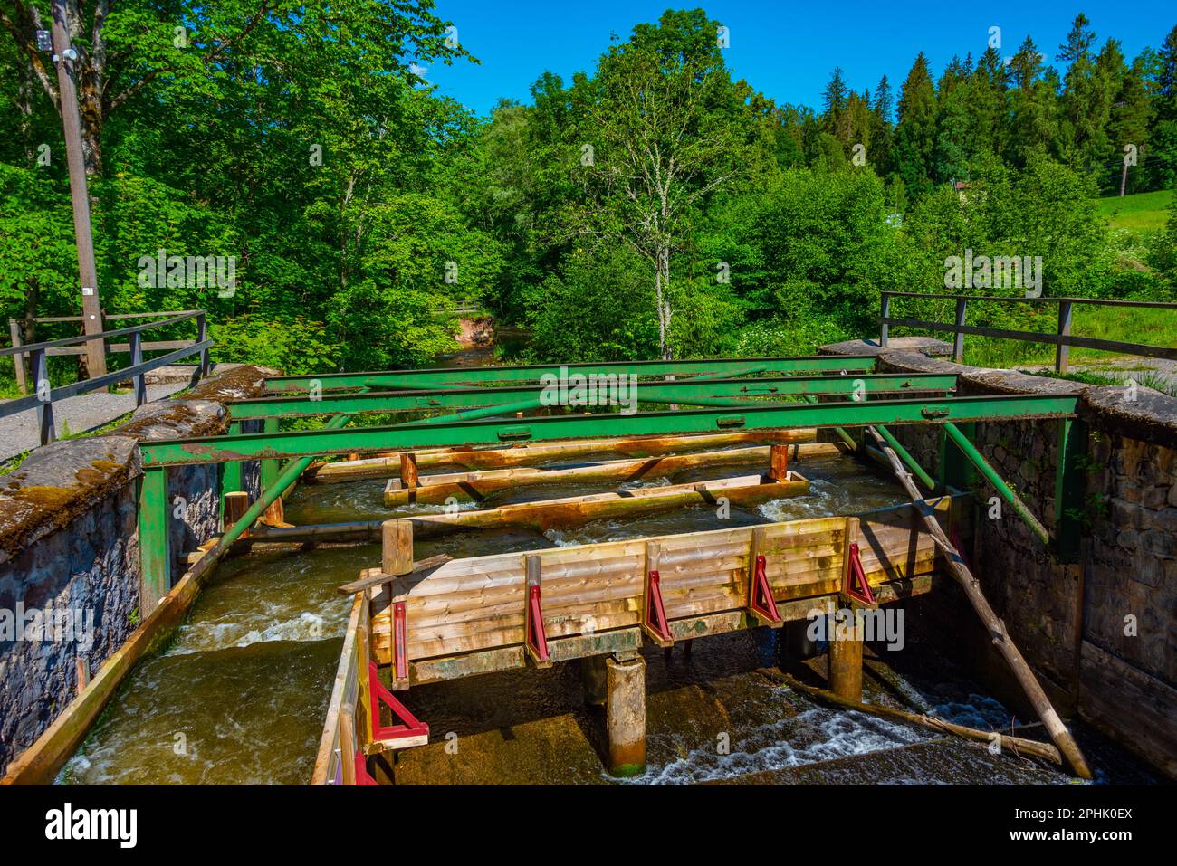 Artificial construction helping trout overcome man-made obstacles ...