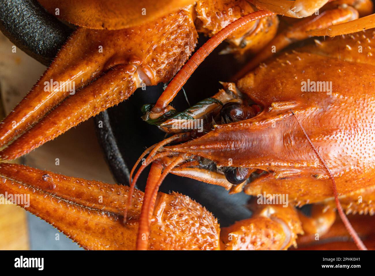 River boiled crayfish. Red cooked crayfish. Plate with crayfish Stock ...