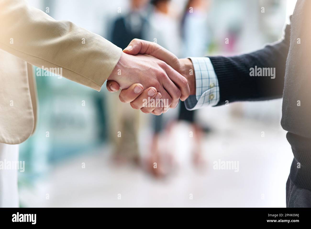 Lets go into business together. two businesspeople shaking hands Stock ...